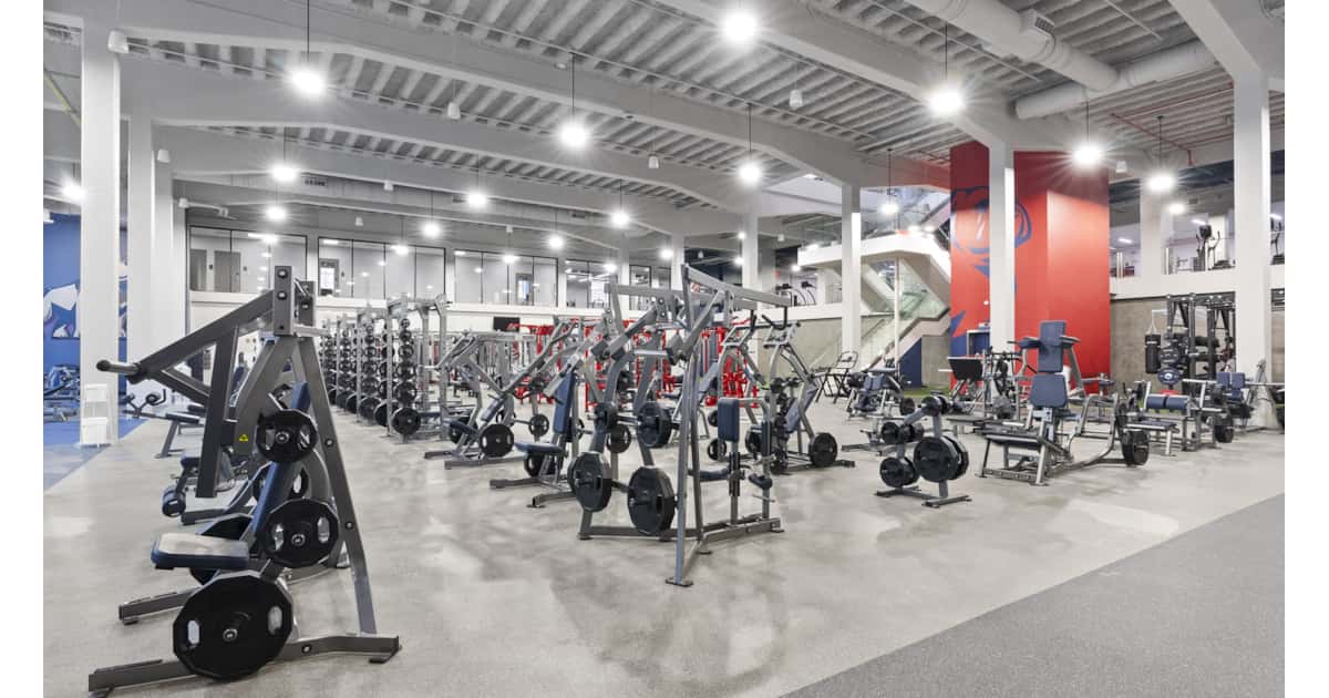 Hammer Strength Plate Loaded for Campus Rec | Hammer Strength