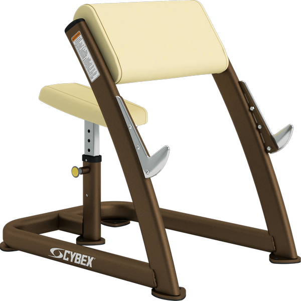 Cybex Prestige Series Scott Curl | Life Fitness