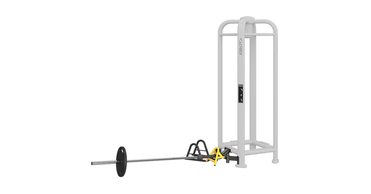 Power Pivot Cybex | Life Fitness
